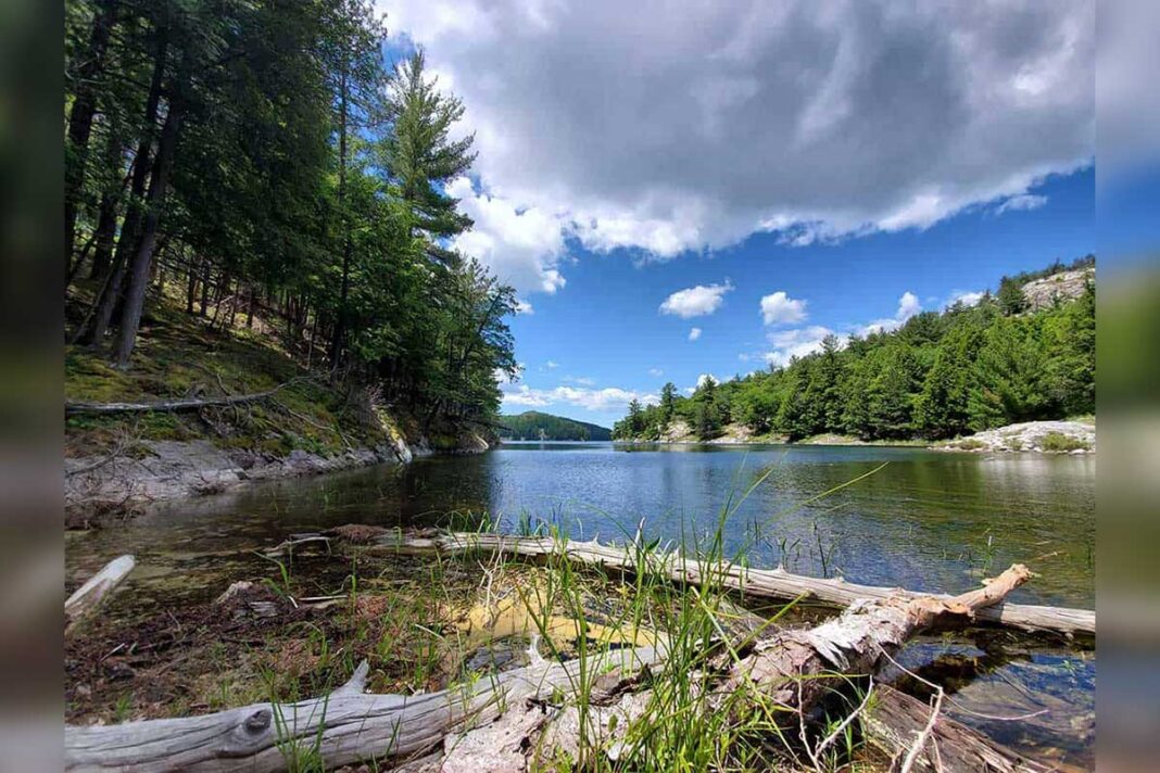 Escarpment Biosphere opens dialogue with mining company that staked ...
