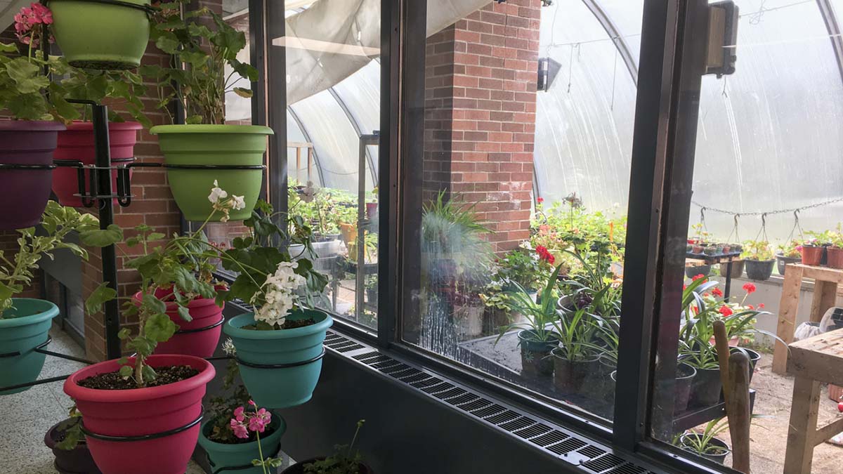 rdsb eco1 | The Manitoulin Expositor